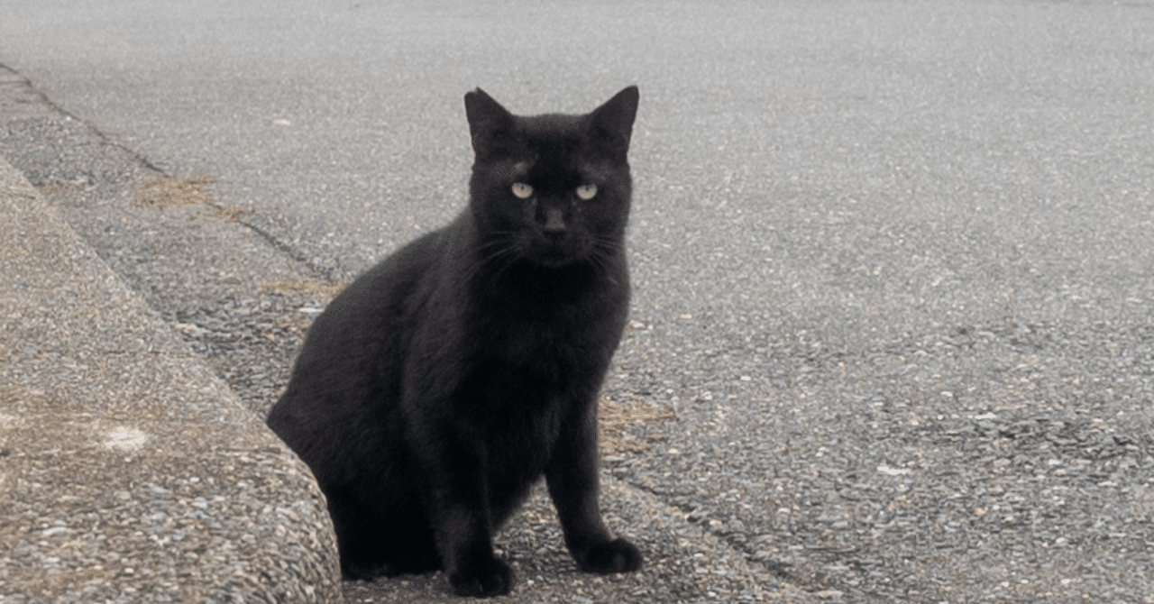 穏やかな気持ちに｜mutaro