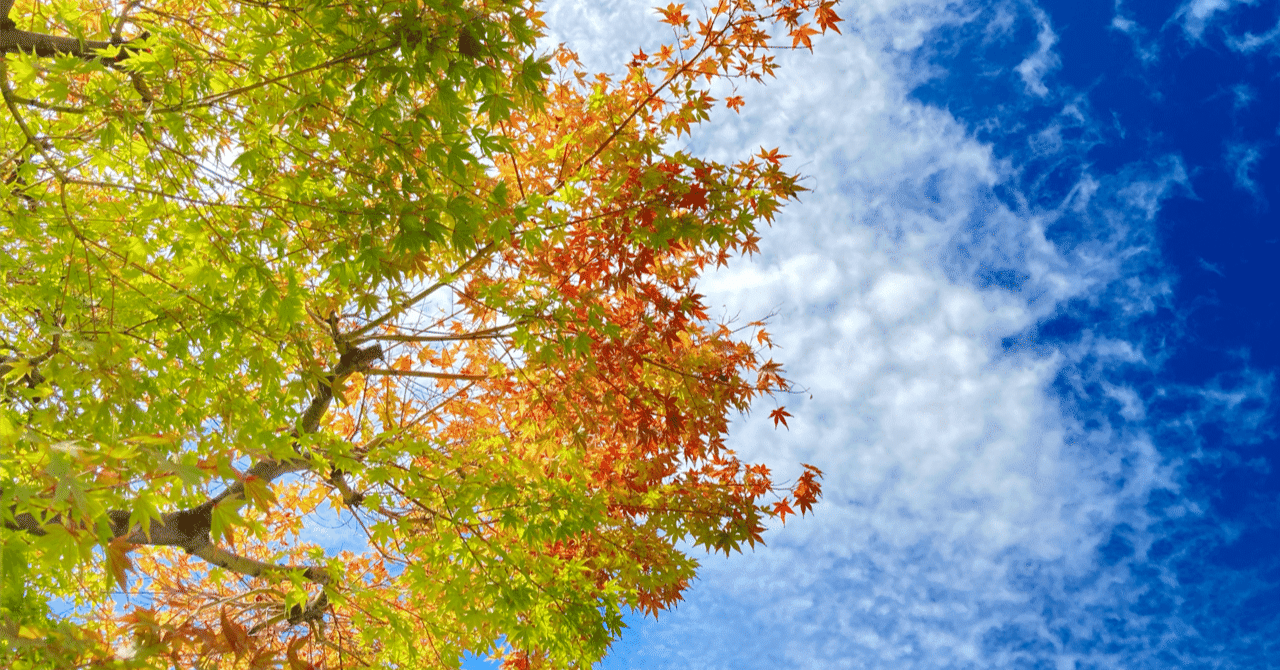 10月に向けて〜指導霊と｜Risa〜あなたの心の声聴きます〜