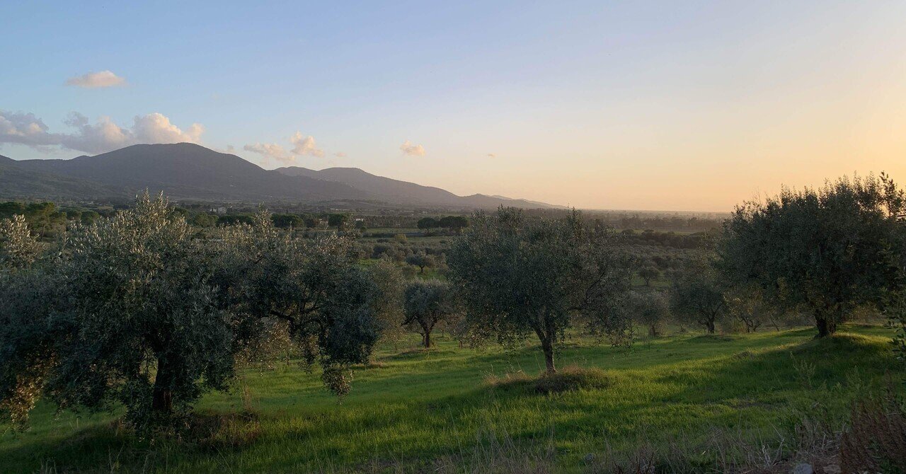 今年の収穫隊をどうしよう…続き｜OTA YUKI