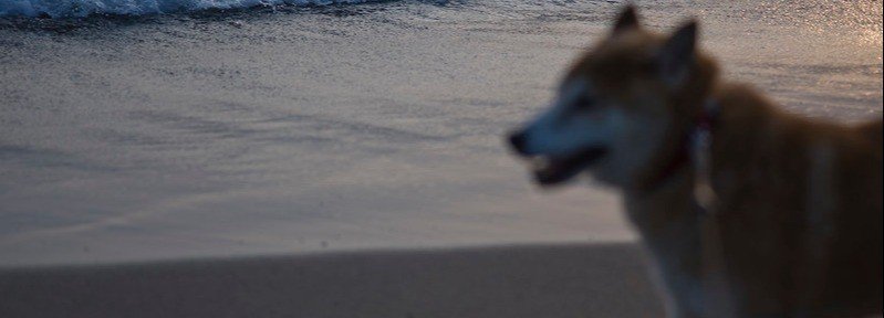 kuno_yasuhiro｜note