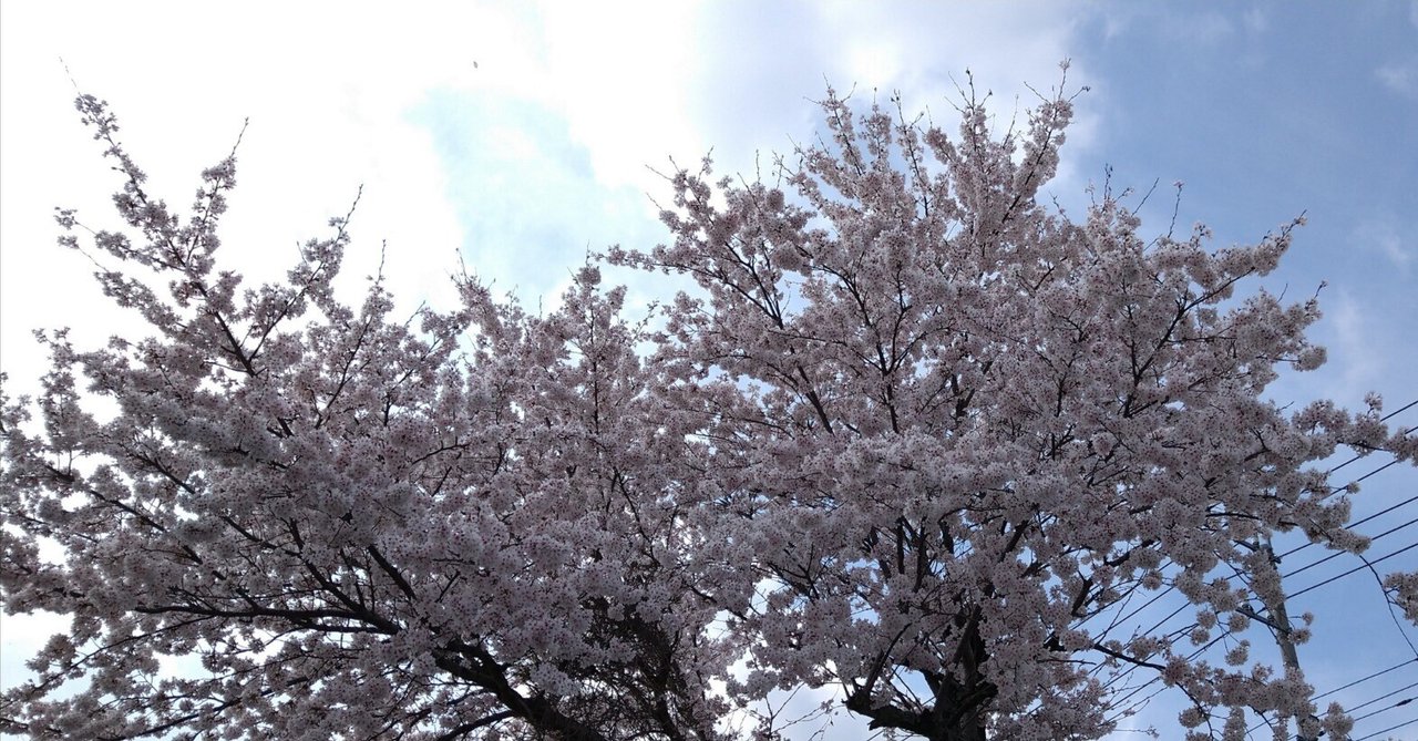 『逃げまくった文豪たち 嫌なことがあったら逃げていいよ』真山知幸(2023)｜読書感想文｜Arai Nami