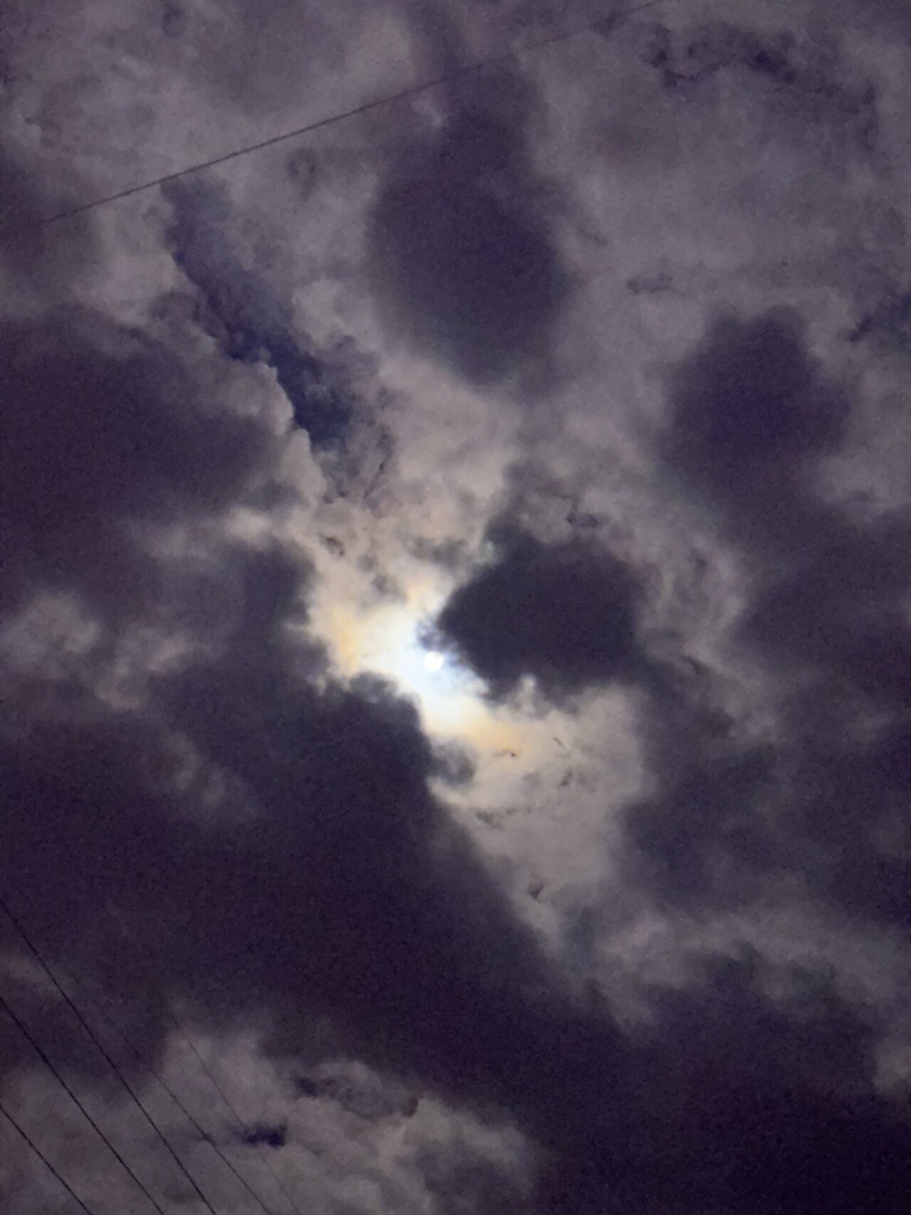 涼しくなってきた どうもこの時期はセンチメンタルな気分になる もう何十年も繰り返しているのに｜susuu