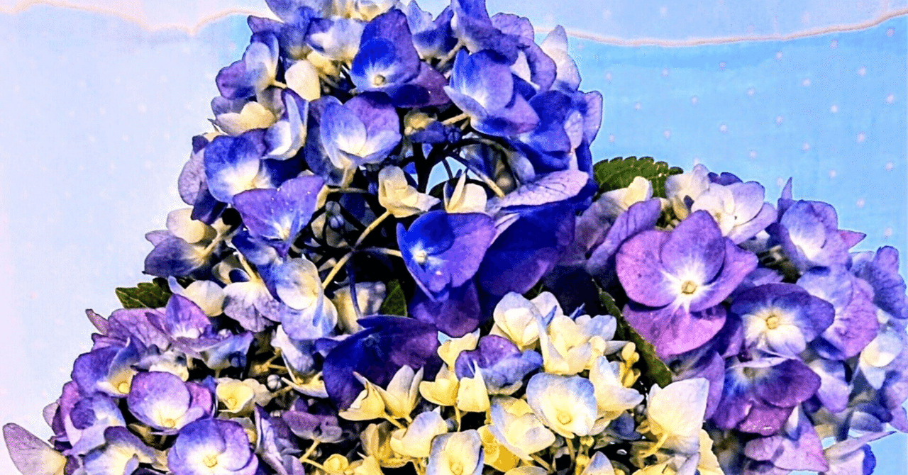 百花繚乱｜Hiroki Shirota