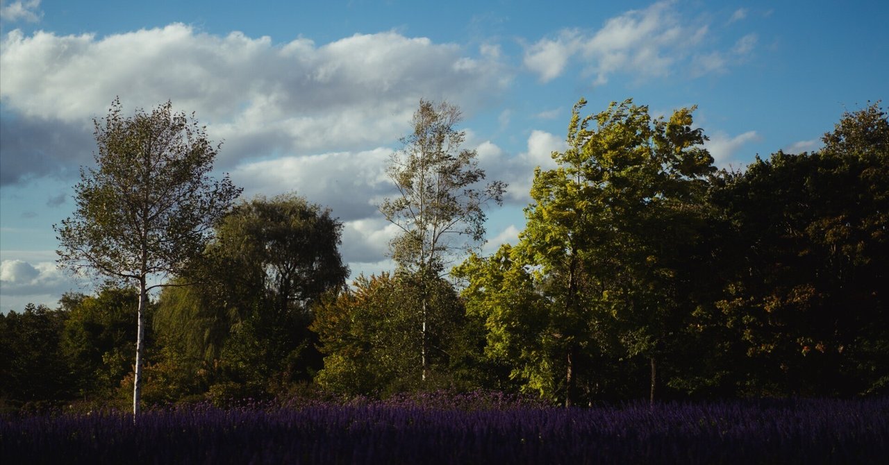 十勝ヒルズ｜manimanium