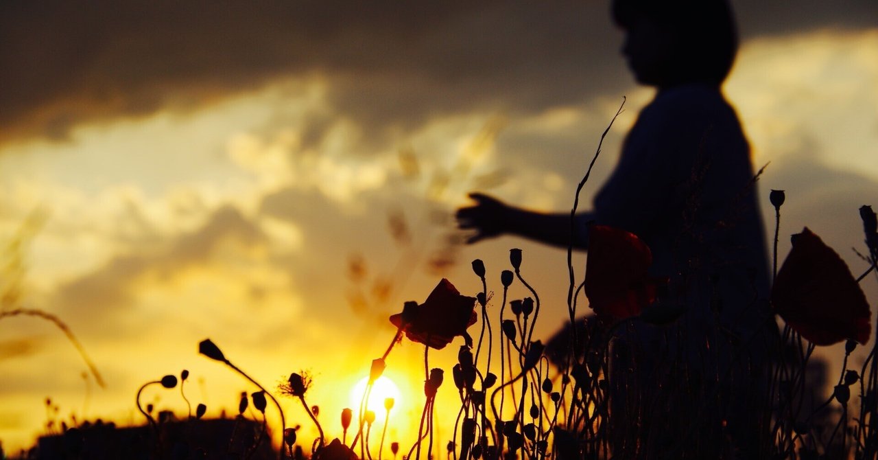 ちょっとだけ話してもいいですか？｜Junko Sakamoto