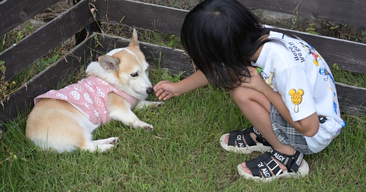 noteを開始して1ヶ月 なんとなく感じたこと｜FP Yoshimitsu