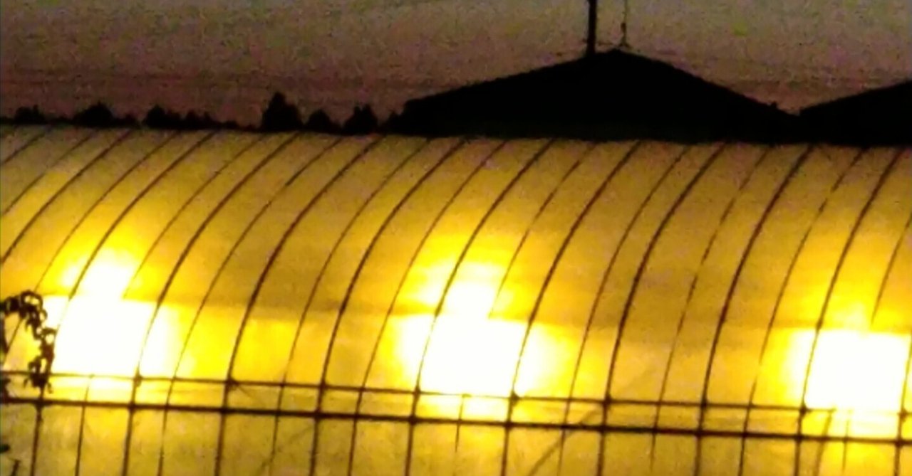 『スマホ失明』川本晃司(2022)｜読書感想文｜Arai Nami