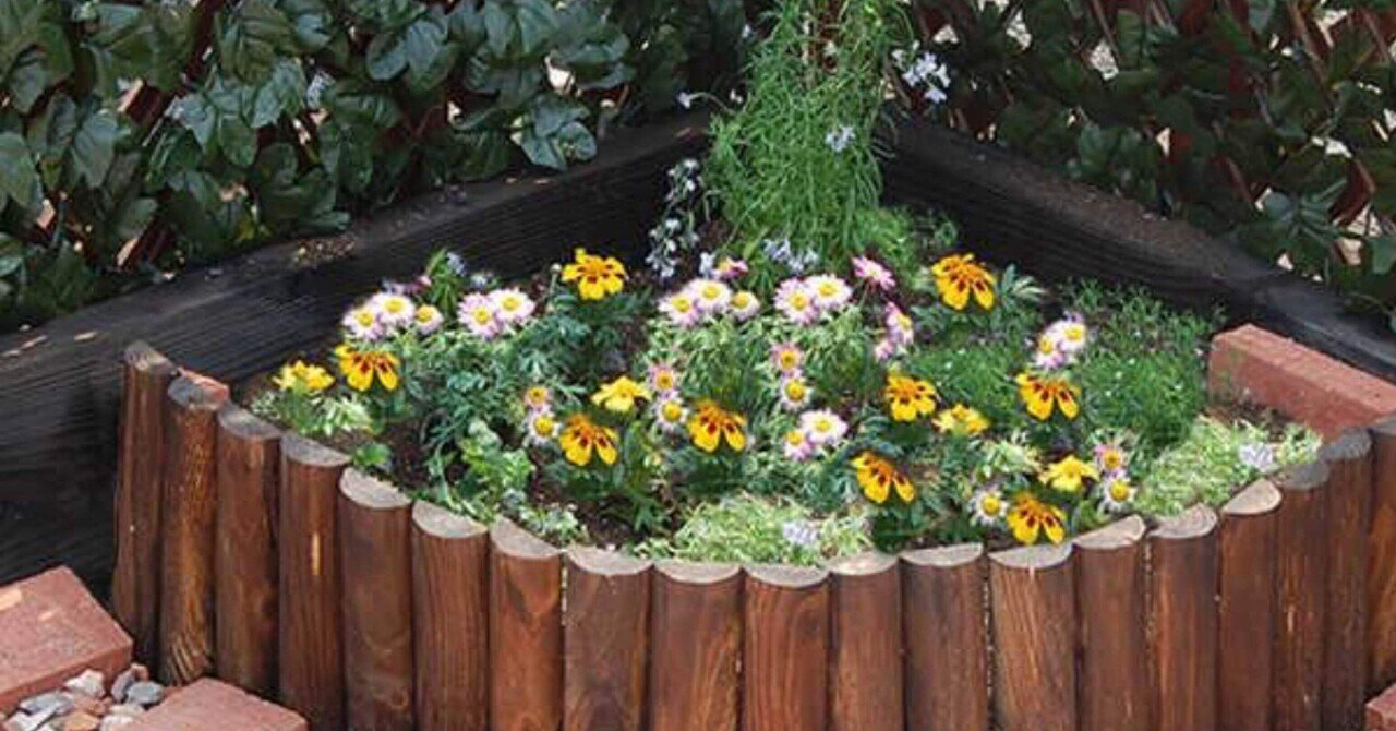 あなたは"養分"？｜moco moco