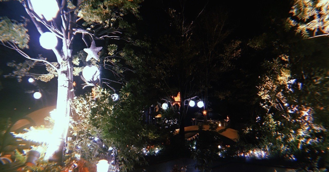 表参道ランタンナイトの秘密を探りに行ってきた。｜Sonoka Aoki