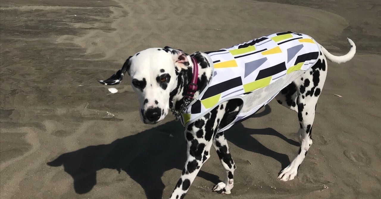 ぐるぐる生きる。｜Akemi Maruyama／コピーライター