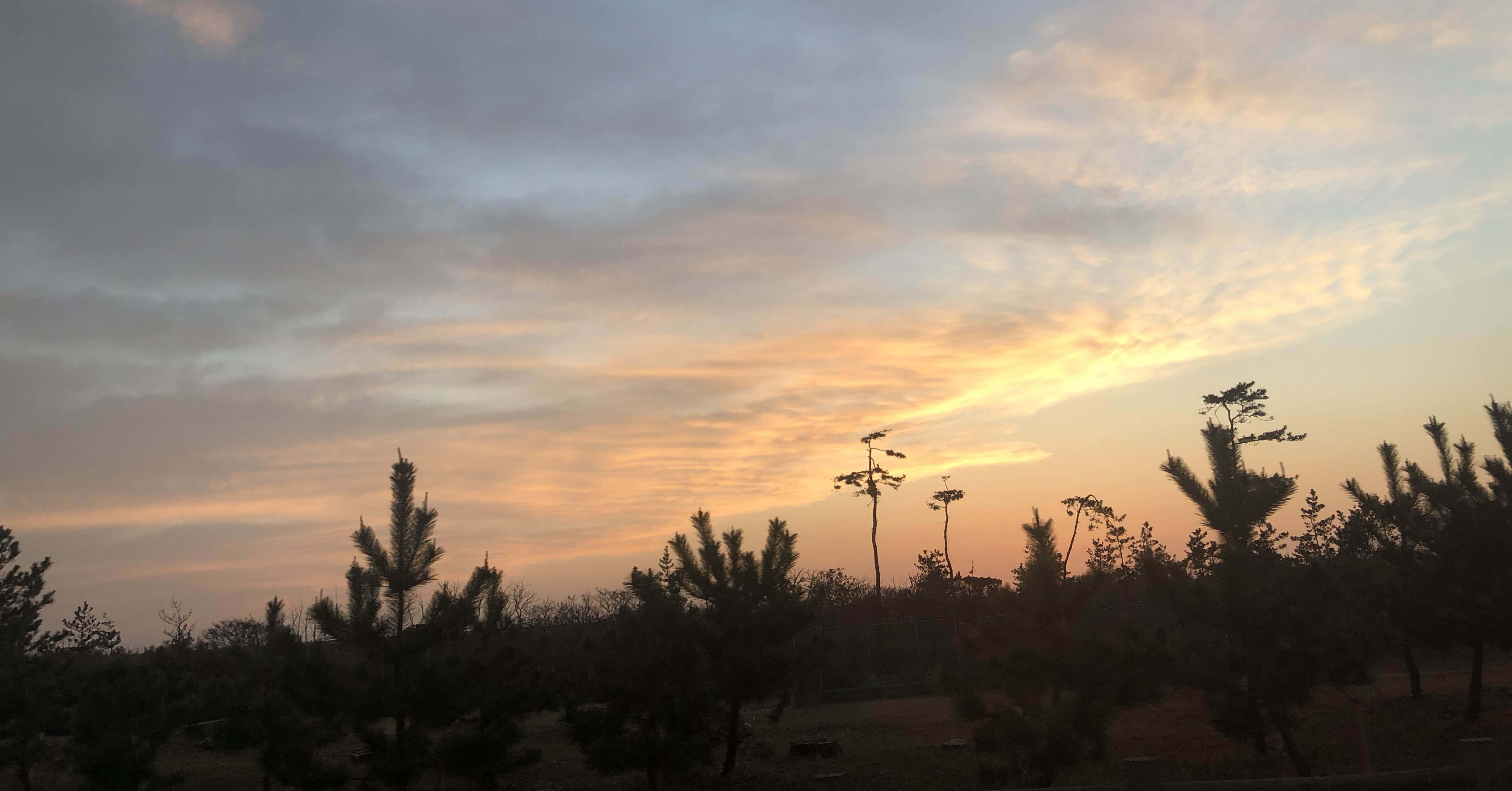 リラクゼーション＆エステRen〜蓮〜｜note