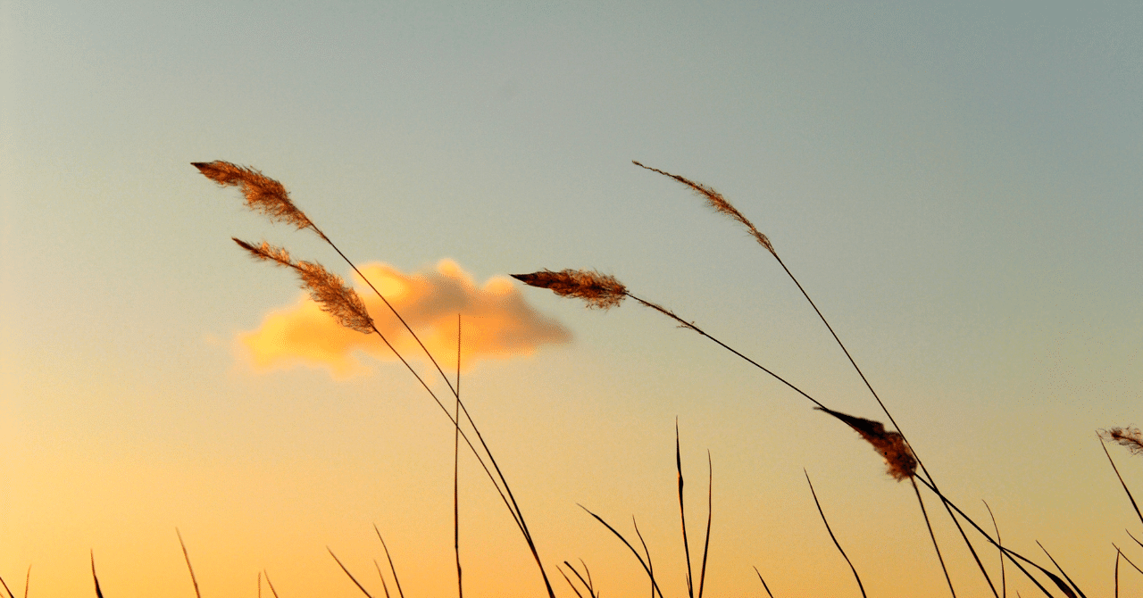 【サロンコラム】自分の意識を自分に帰らせる｜Ryuta
