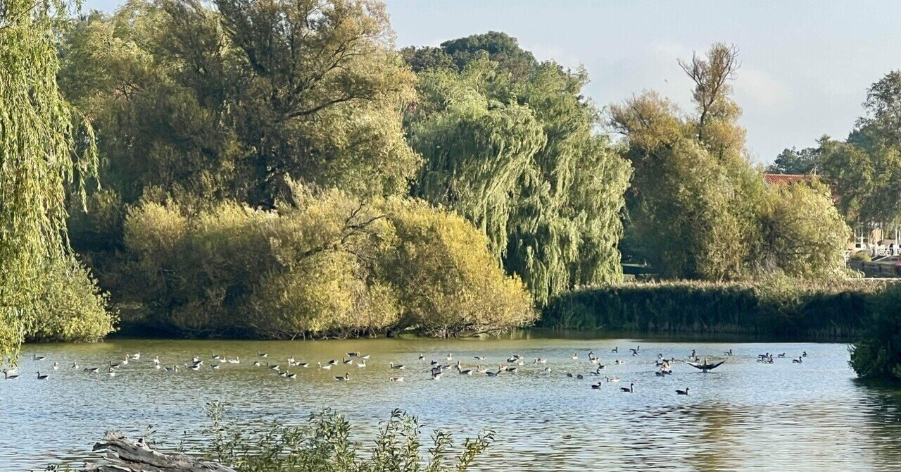 デンマーク🇩🇰 My soul journey Day-7 五感を取り戻そう｜Chika Munakata