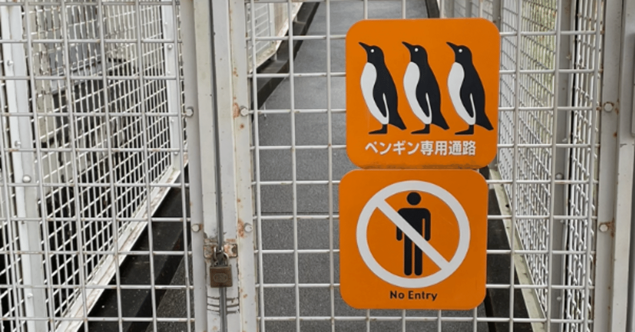 ファーストペンギン《日詩》｜Toko Uchida