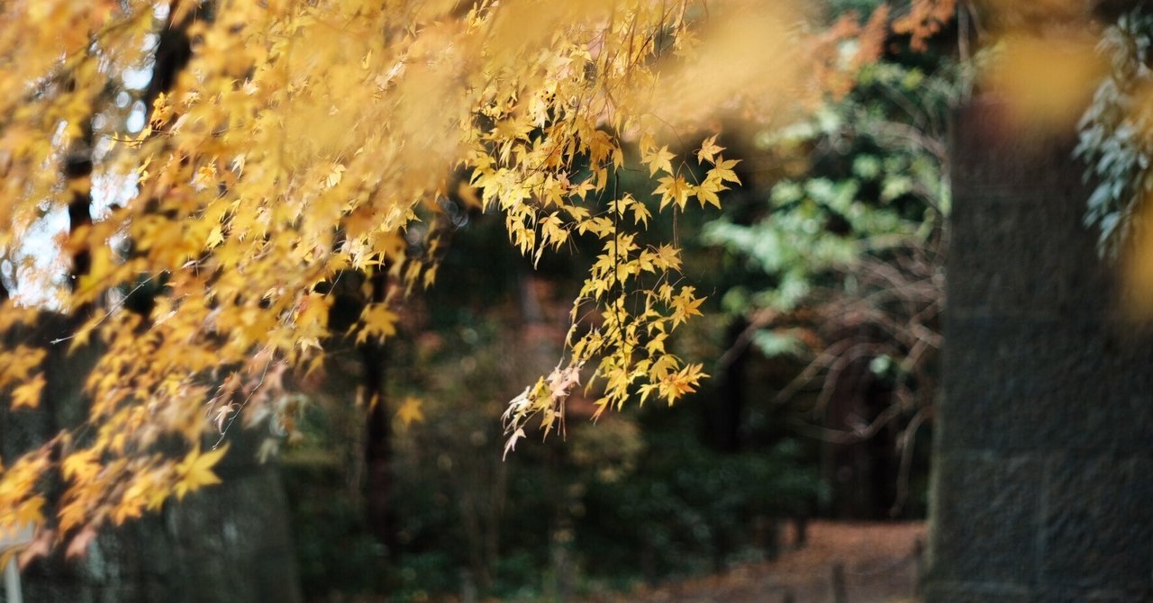 [gururi note] 軽やかに綴る｜gururi.coffee