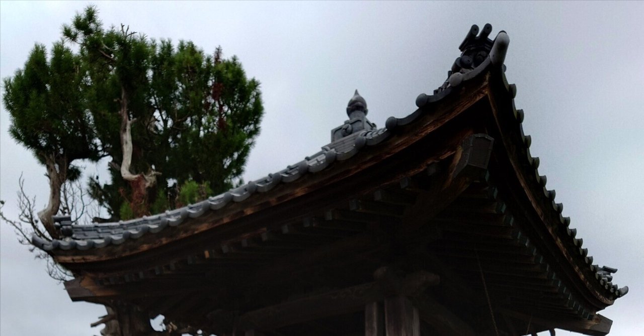 【うつろい（雑感）】 _190816 ｜shichi_mibu