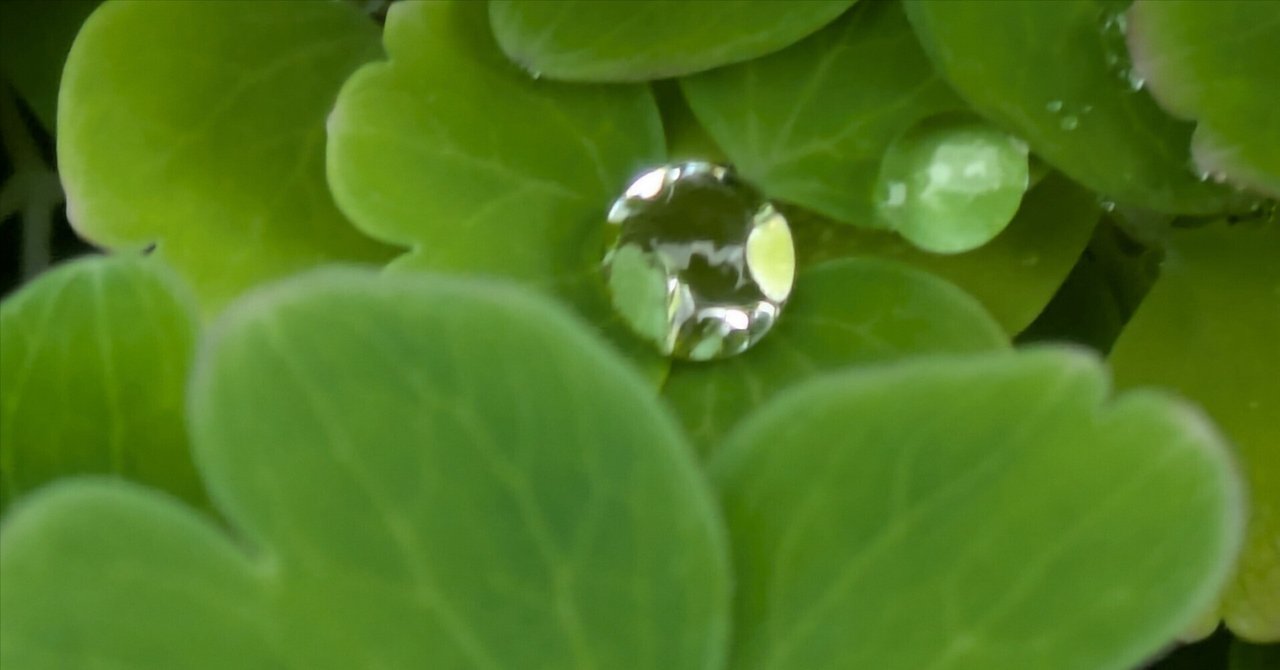 泣いて笑って驚いたショート動画｜ichiro70