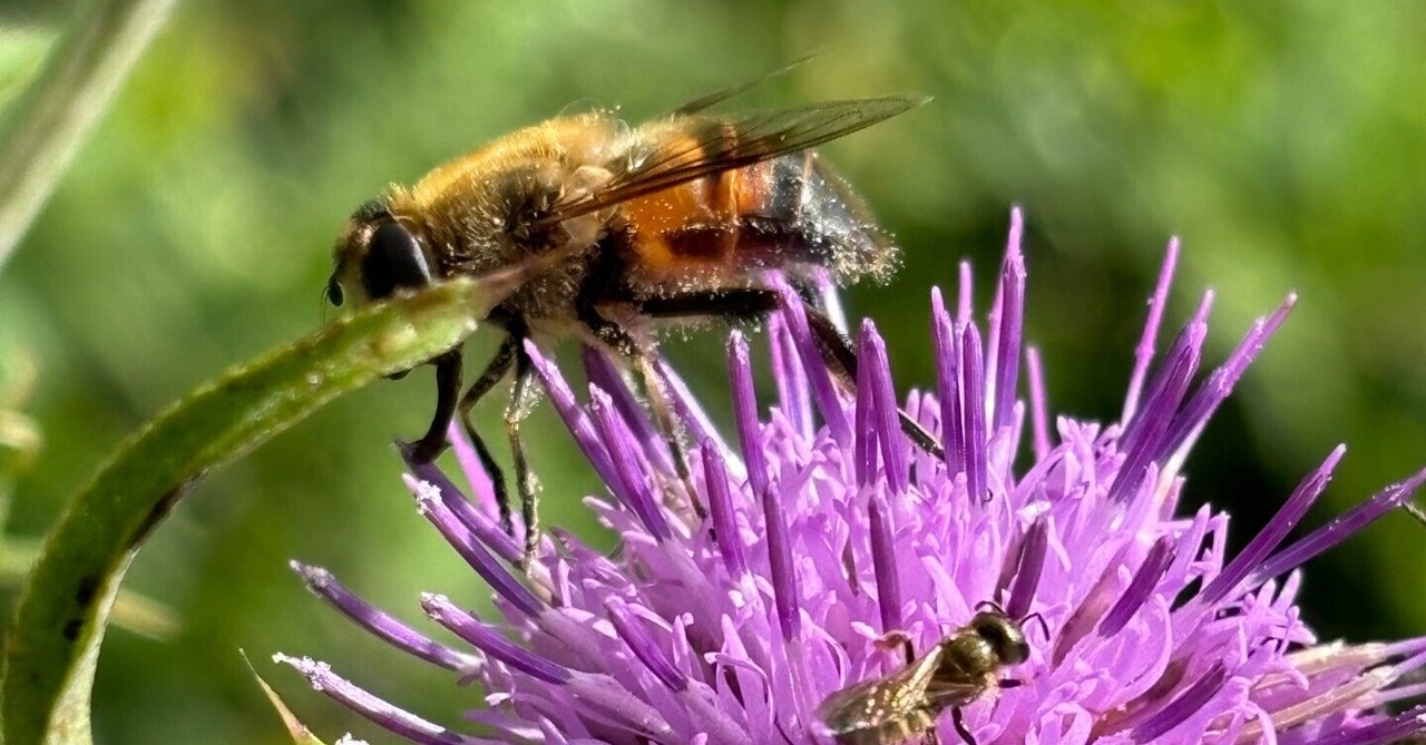 自由度をあげる｜Kumiko