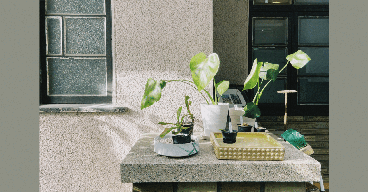 第四十八候 水始涸（みずはじめてかるる）｜西村二架 Nika Nishimura (Kazuki.N)