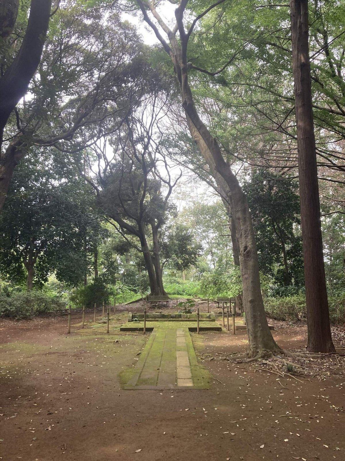 八王子のシルクロード「絹の道」を歩く｜Petorashika_note