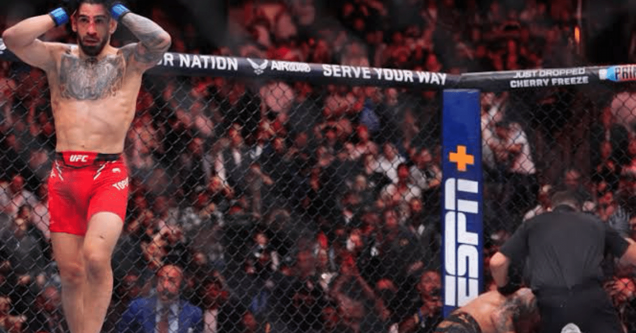 MMA2024年度上半期ふりかえり｜タカ