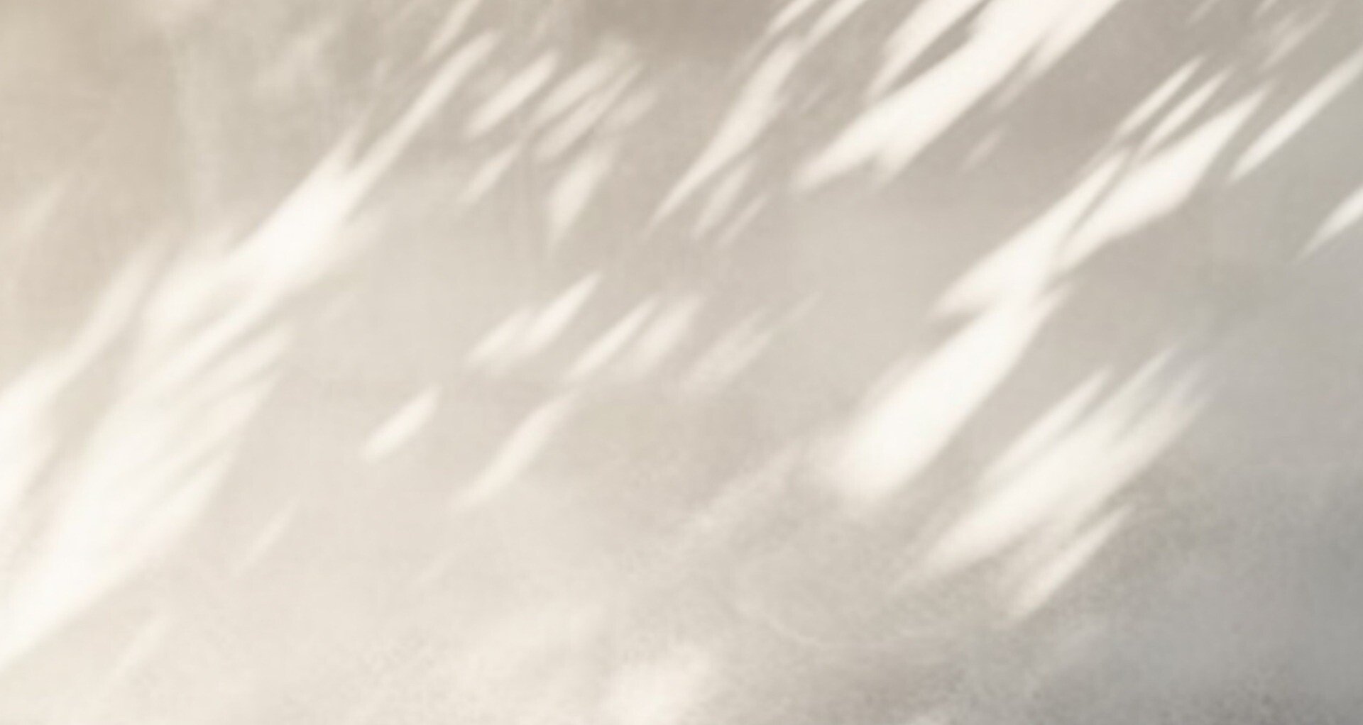 お知らせ｜𝖢𝗁𝗂𝗍𝗈𝗌𝖾 𝖪𝖺𝗍𝗈｜𝖡𝖨𝖲𝖢𝖮𝖬, 𝗂𝗇𝖼.｜note