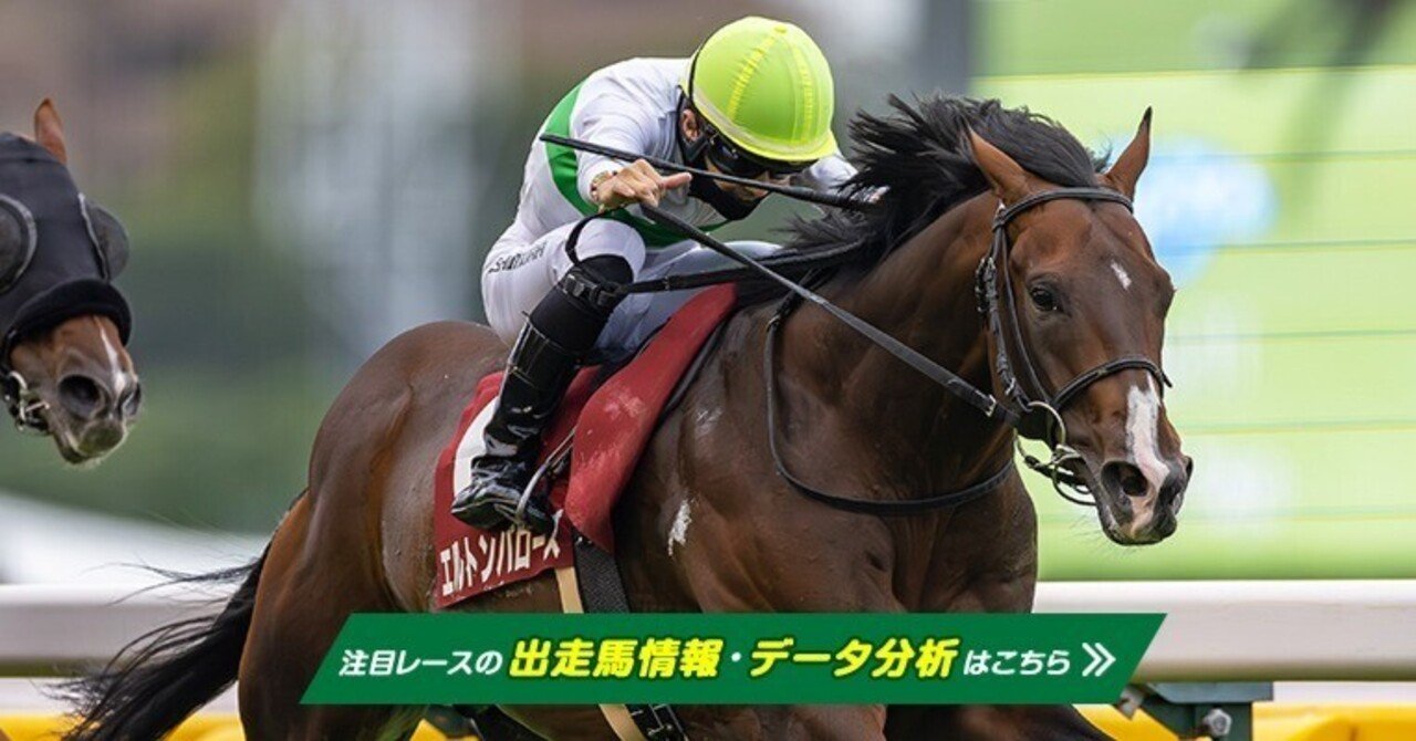 毎日王冠 京都大賞典24｜サイン競馬 真実の解読 ワークホース