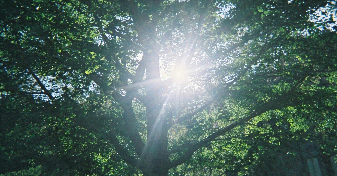 女性らしいとは？｜haru_st_kt