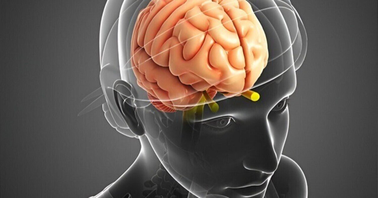 松果体または第3の目は、人体で最も標的とされ、最も毒された内分泌器です｜Mippya78 新しい光の波動