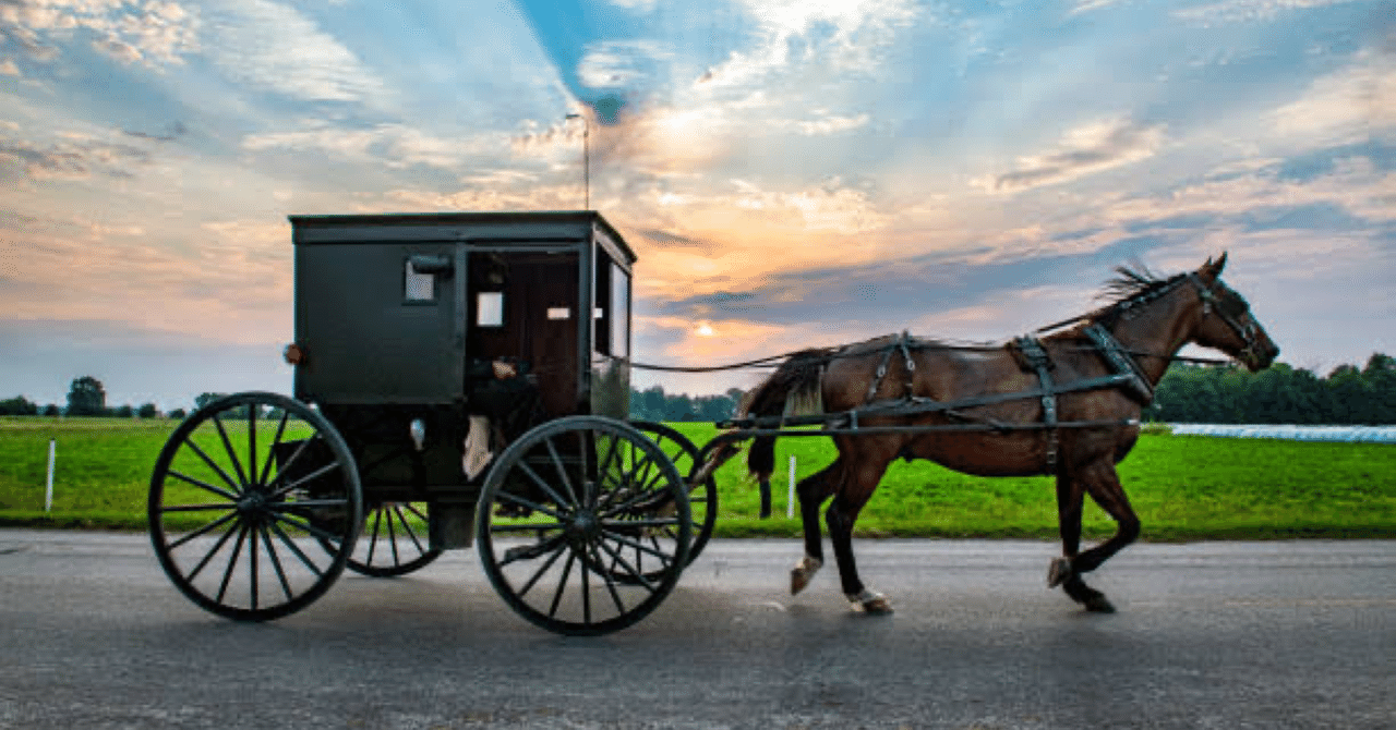 241006_コーチングについて調べてみた。｜kana akiyama