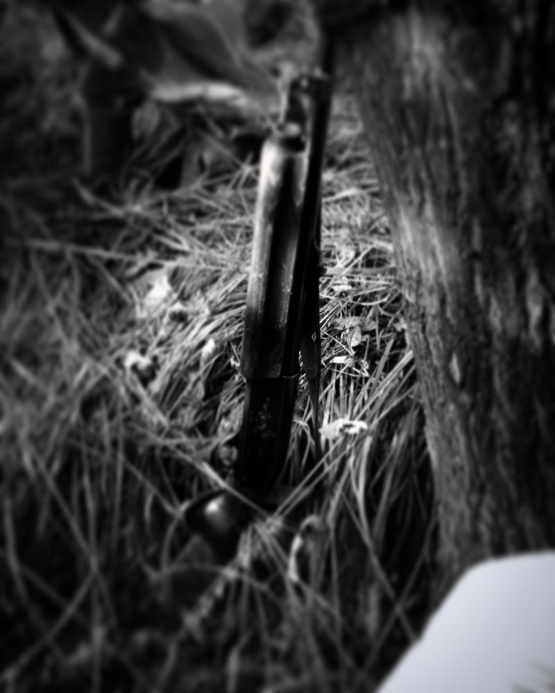 都会を脱して、身体を取り戻そう。#Tabifit 最高だった｜ふくたろう🐣ｾﾝｽｵﾌﾞﾜﾝﾀﾞｰを求めて