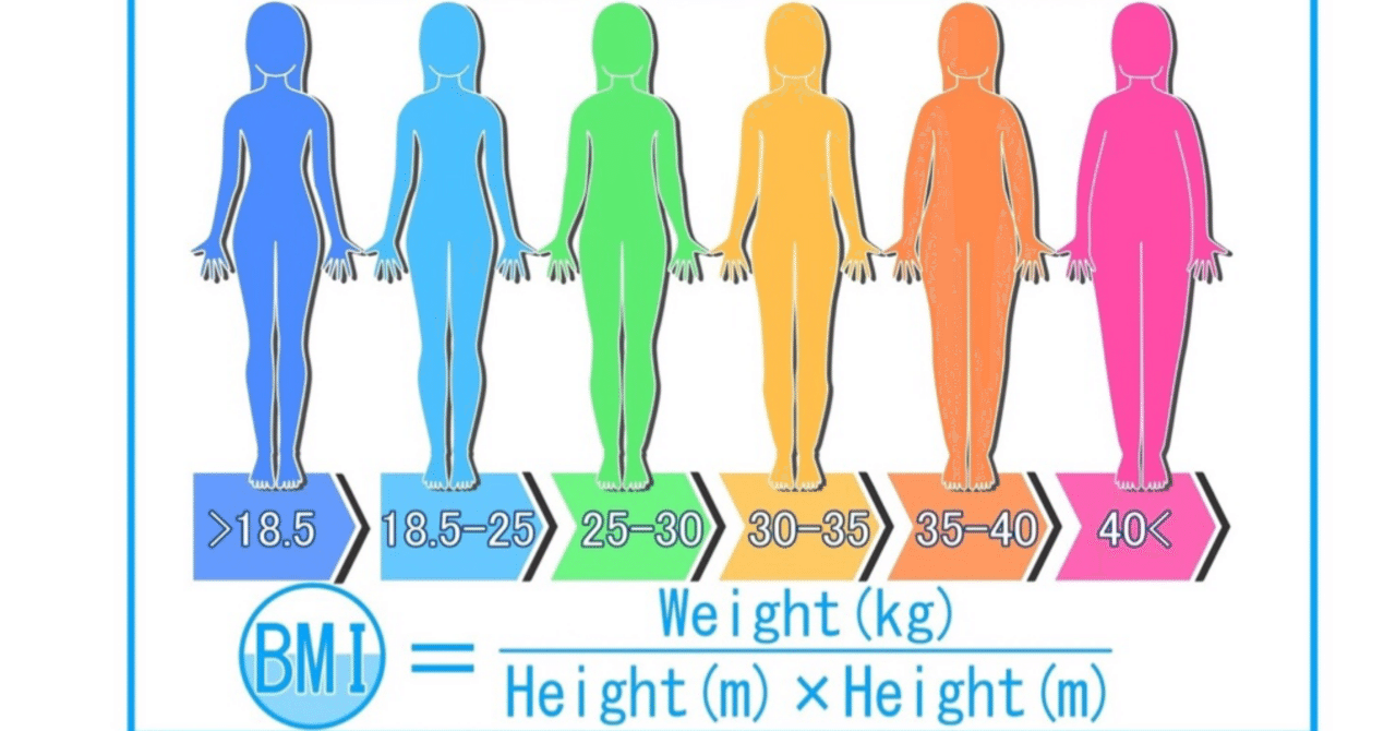 vol.12 小太りのススメ｜raku＊raku