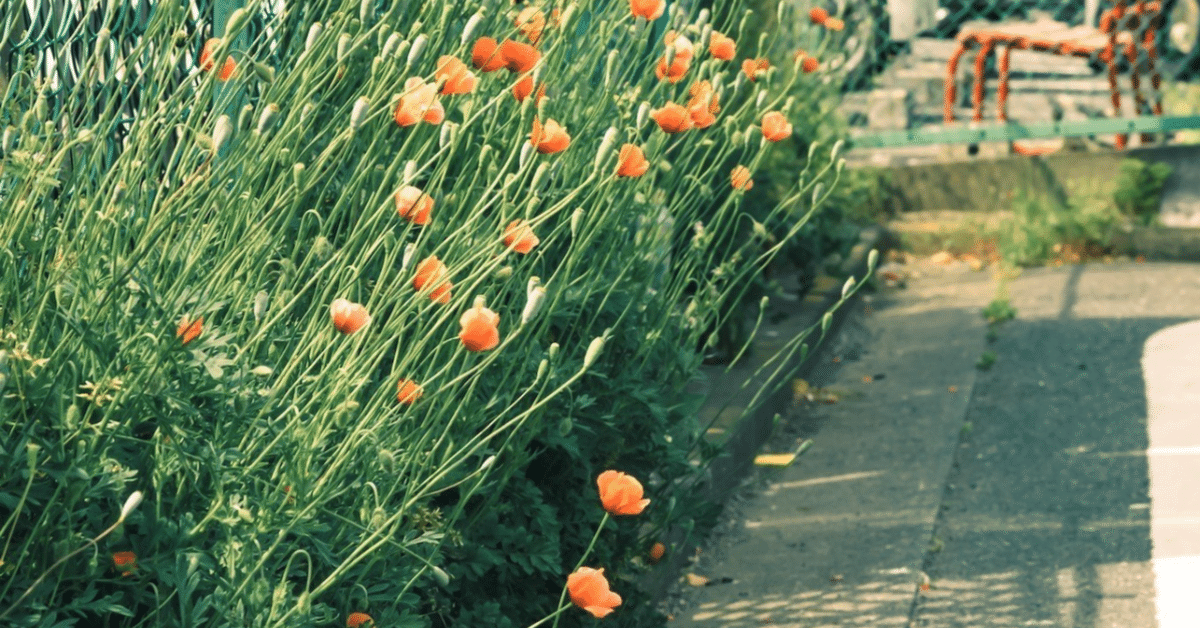 渋谷すばるが初老?!老けたと言われるのはなぜ？年代別の画像のまとめ｜CocoMaro