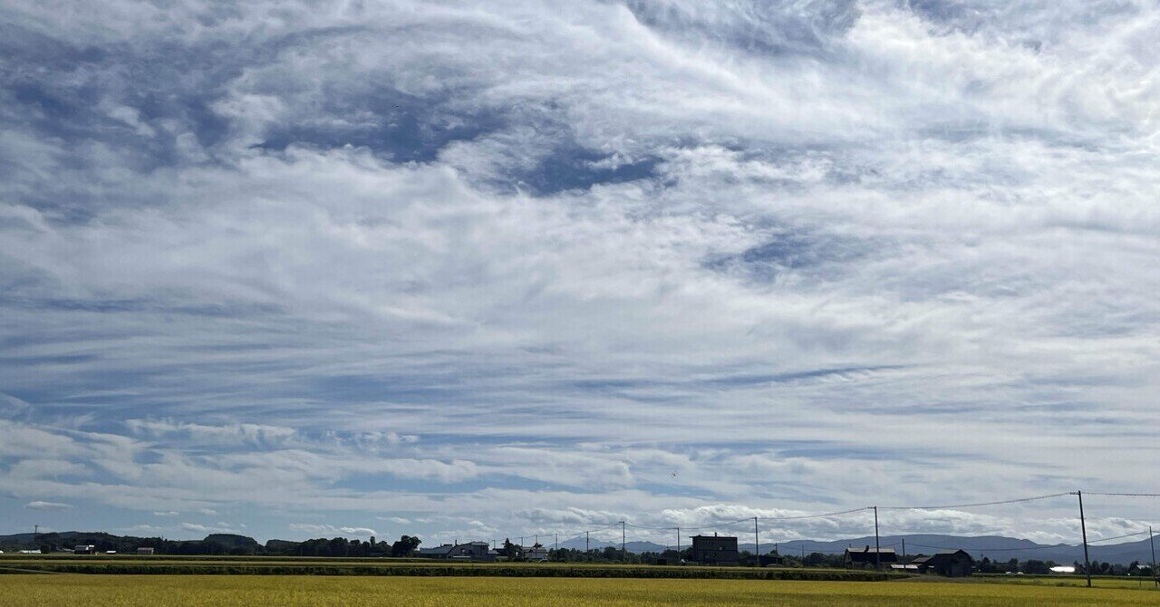 任務遂行しました！｜みっちー🌈Michiko Tsukuda