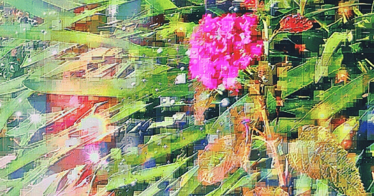 SAY MY NAMEに日本人メンバーはいる？画像やプロフィールは？｜CocoMaro