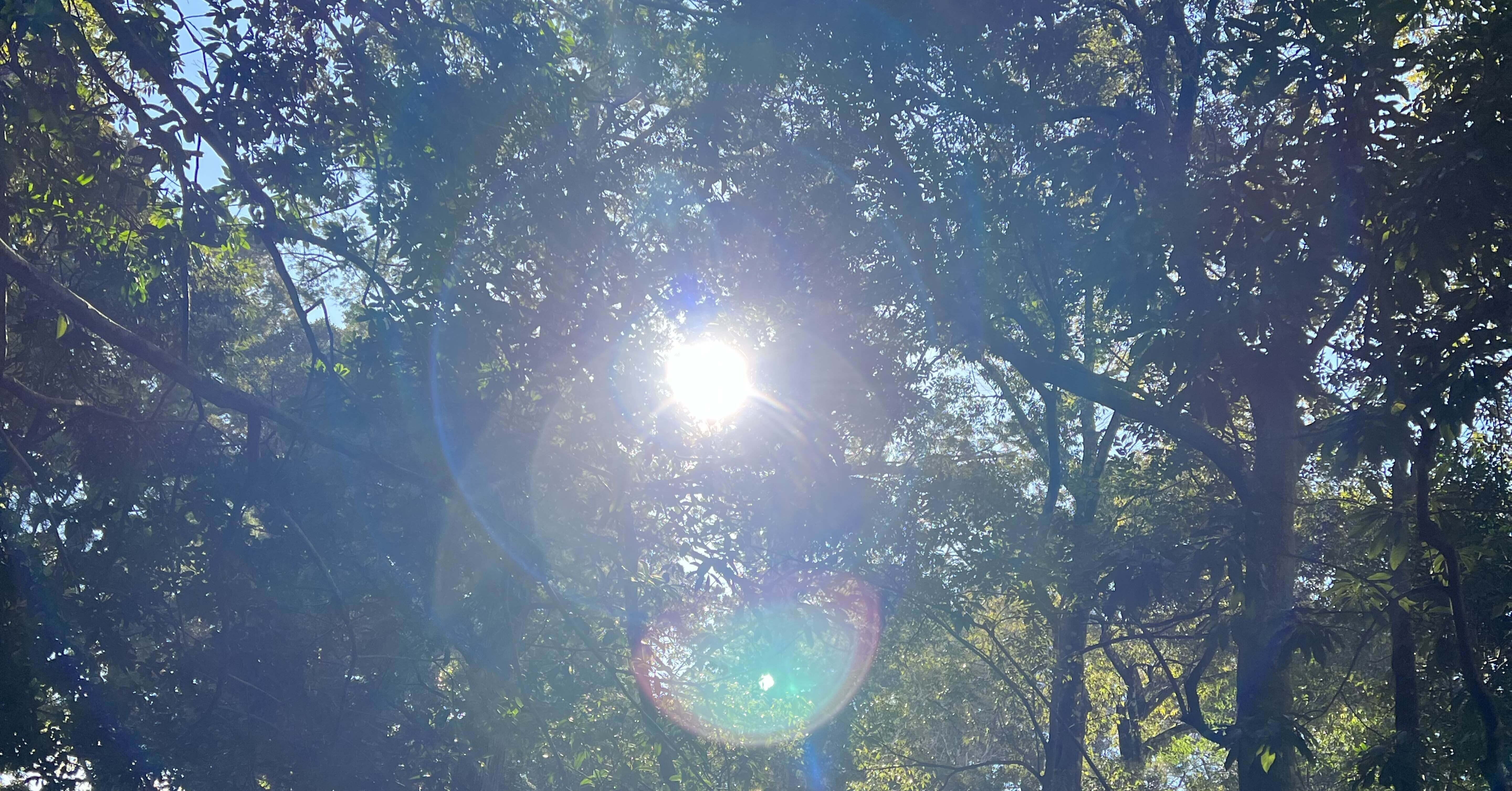 pipi-ぴぴ-ナチュラルLifeで心穏やかに｜note