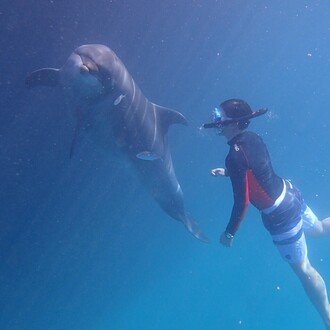 「世界一厳格な写真ギャラリー」1x.com〜1x.comを実際に始めるにはどうすればいいの？〜｜Photographer GoNagai