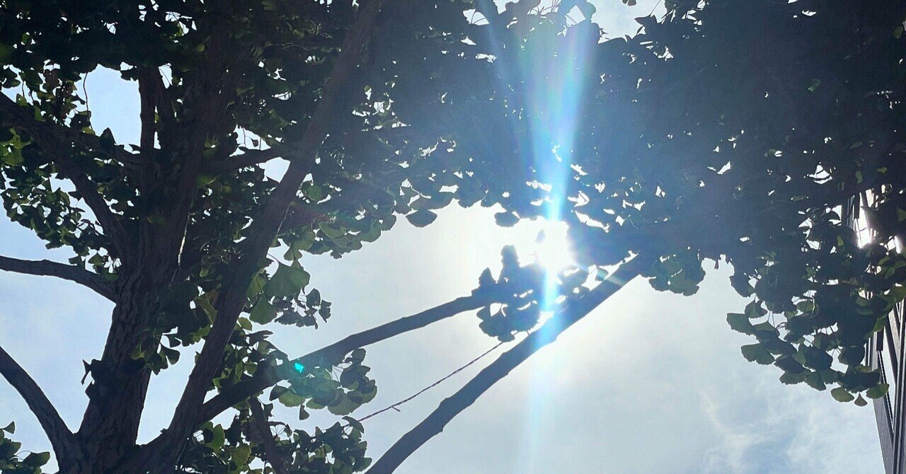 暦でリズムをととのえる｜tsunagist etsuko