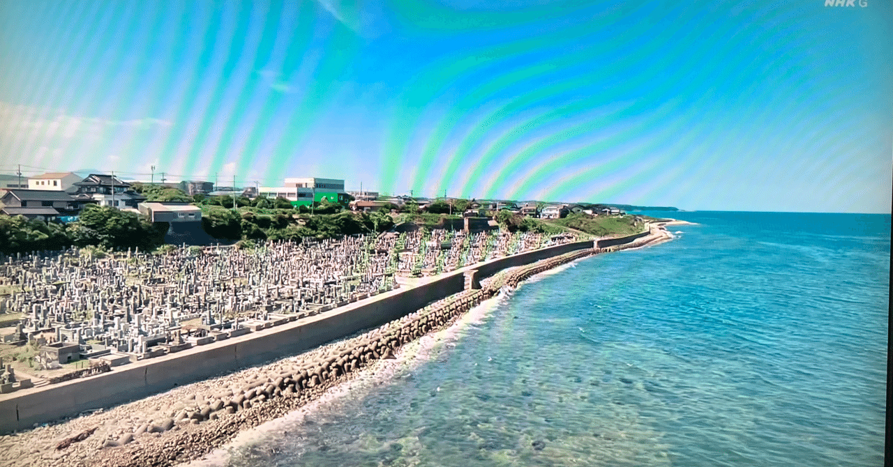 ドキュメント72時間〜お盆の鳥取 海辺の墓地で〜(NHK)｜一ノ瀬 彰