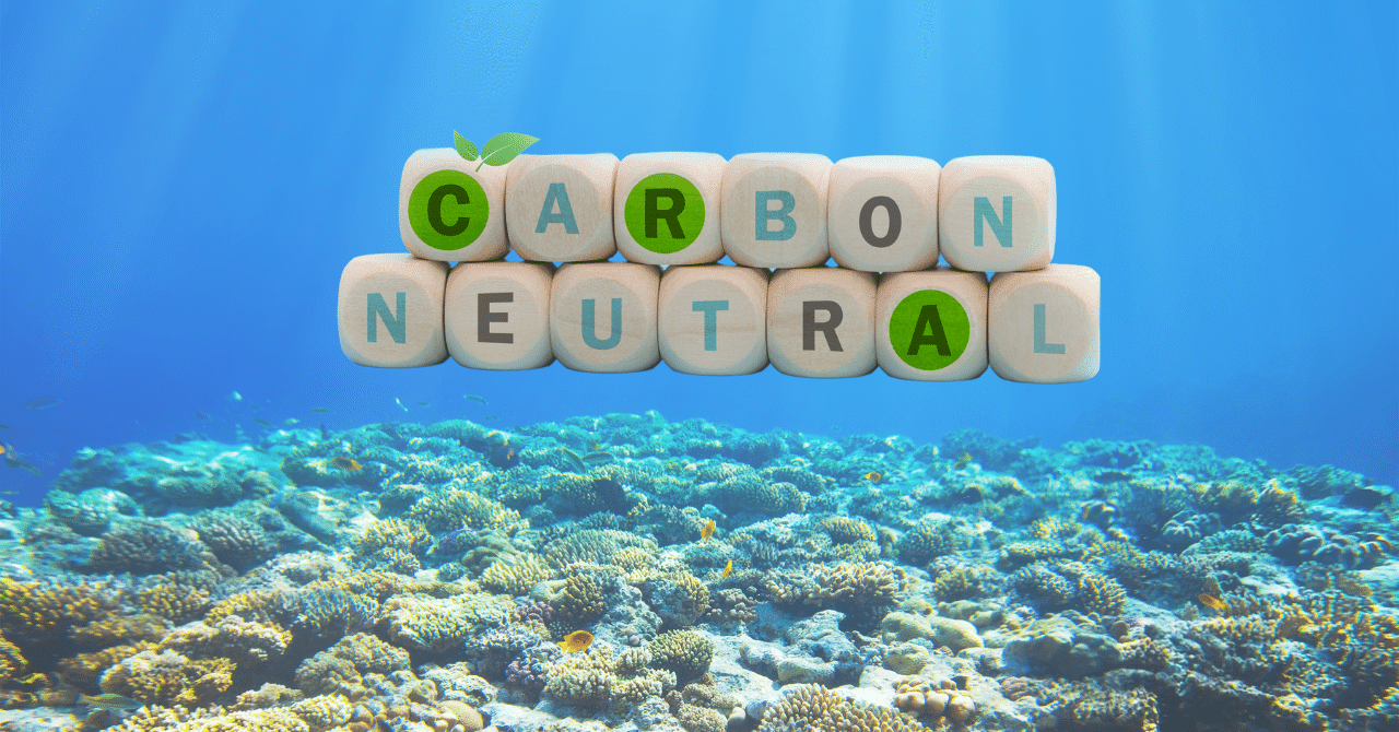 ブルーカーボンって、ご存じですか?｜Miwako