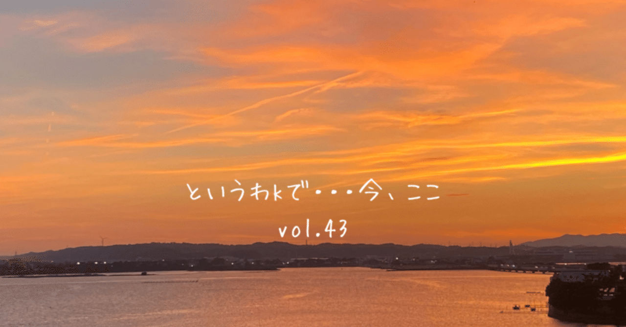 ディズニーリゾートを車椅子で楽しむ｜Peco Otaki（大多喜ぺこ）
