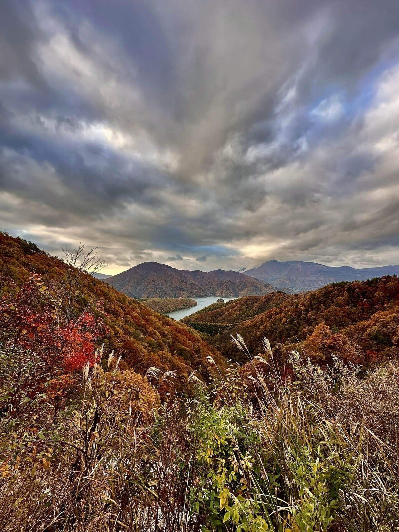 秋元湖を上から眺めた紅葉｜M-hagaaa