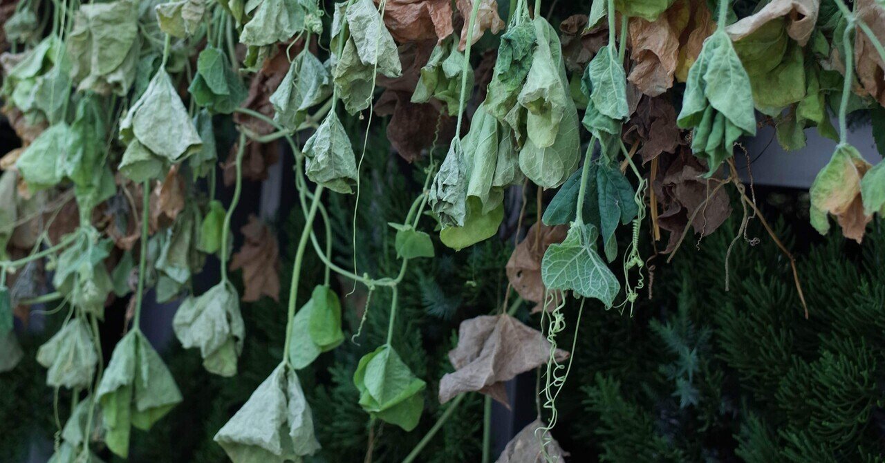 迷ったら、こころ｜ちひろ/CHIHIIO SAVA