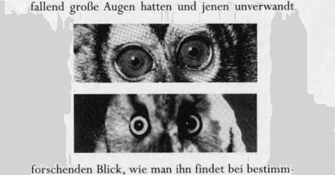 写真論以上、写真未満｜高見温| On Takami