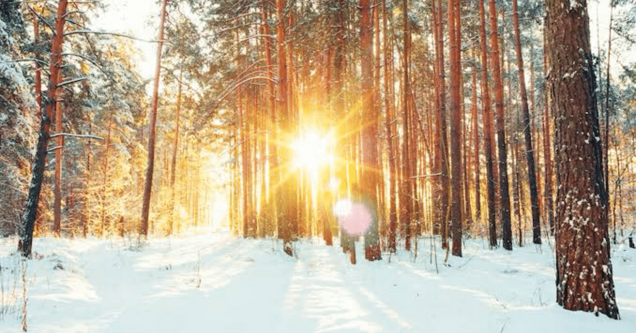 Sun Oh Sun｜kimberly1106