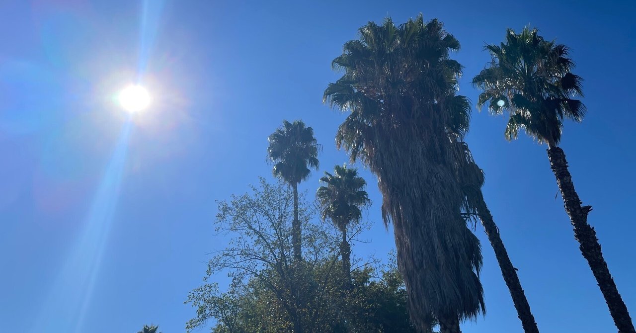 熱血ママの主観で、アメリカの部活は推し活として楽しめるのか？｜yasugo