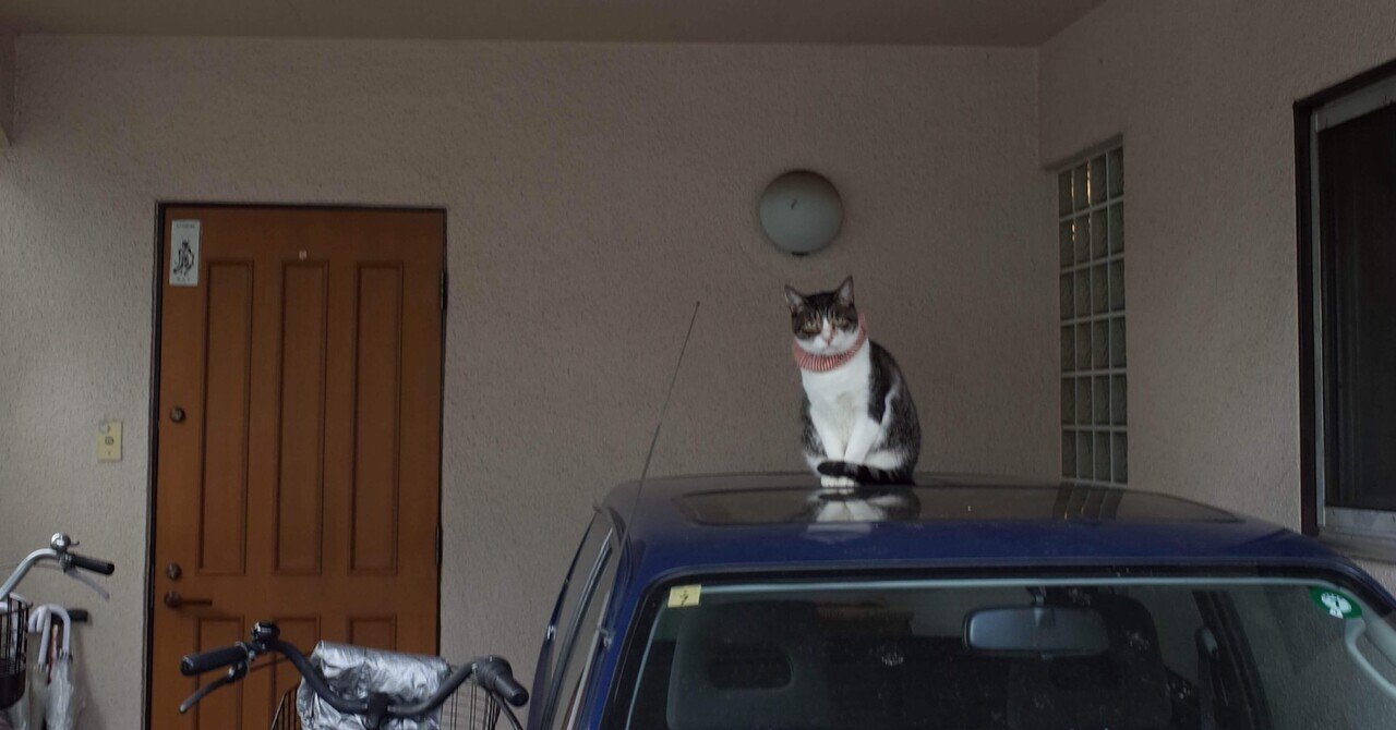 「それって最強じゃん」と、彼は言った｜ちひろ/CHIHIIO SAVA