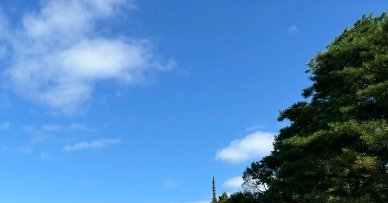 誰もフォールアウトを見てくれないので、ここで話す。｜ksmsn