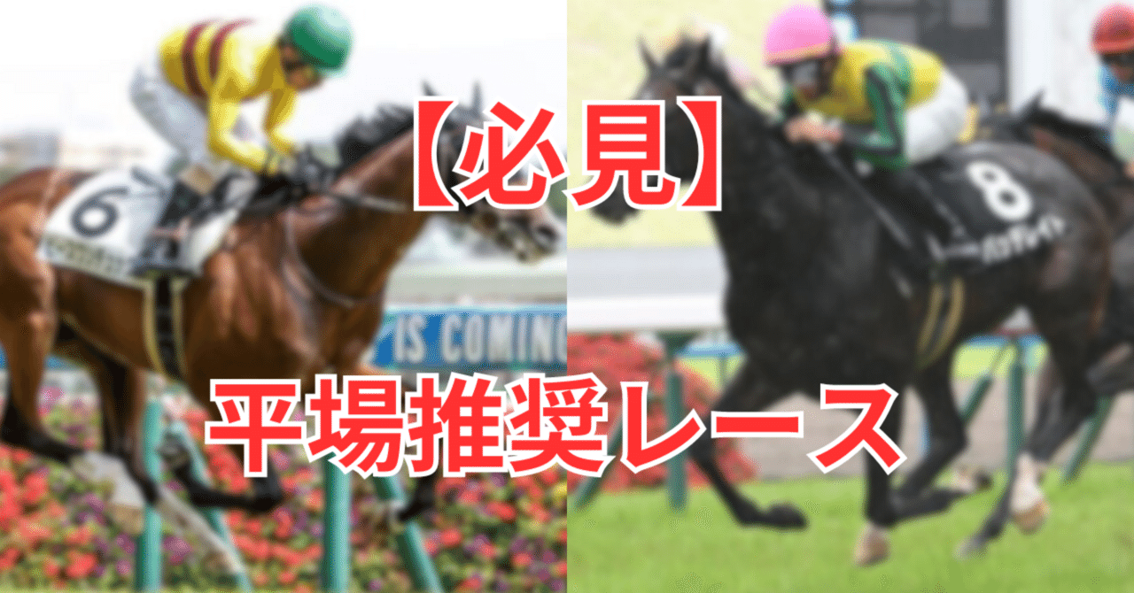 秋華賞前日に稼ぎたい人必見🔥【土曜日京都10.11R】｜しん競馬