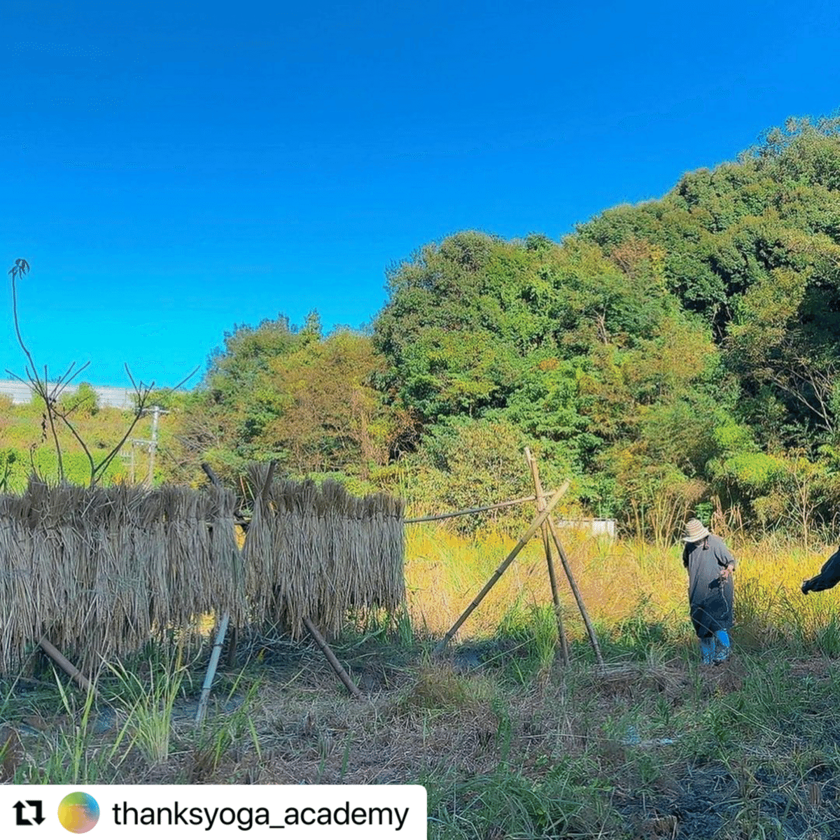 【くさみ自然農園日帰りリトリート『収穫祭』】｜Studio KAMON Miho